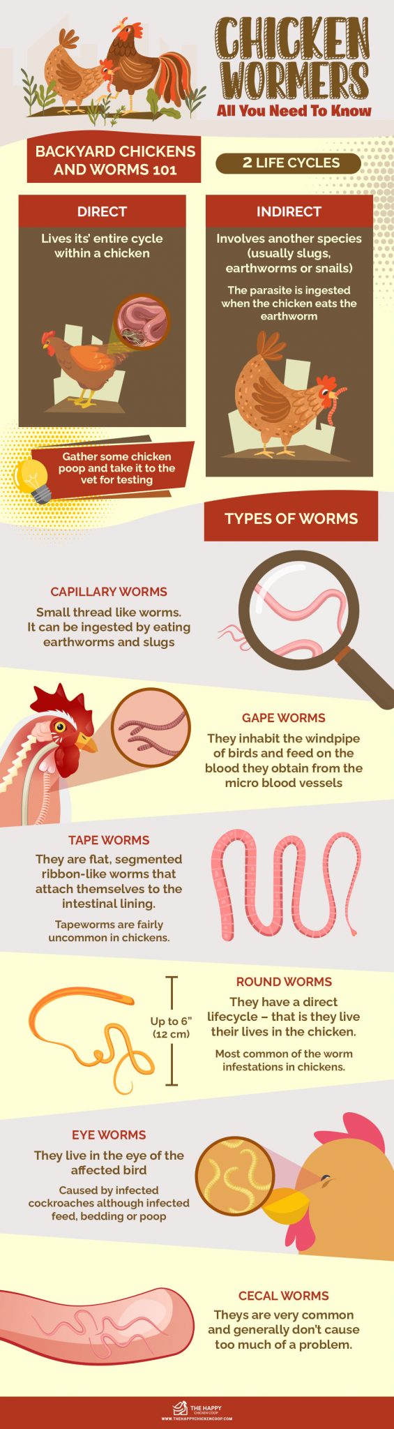 Chicken Wormers: All You Need To Know