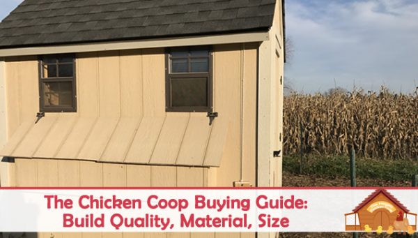 Best Chicken Coop Kits: Our 3 Choices and First Time Buyers Guide - The ...