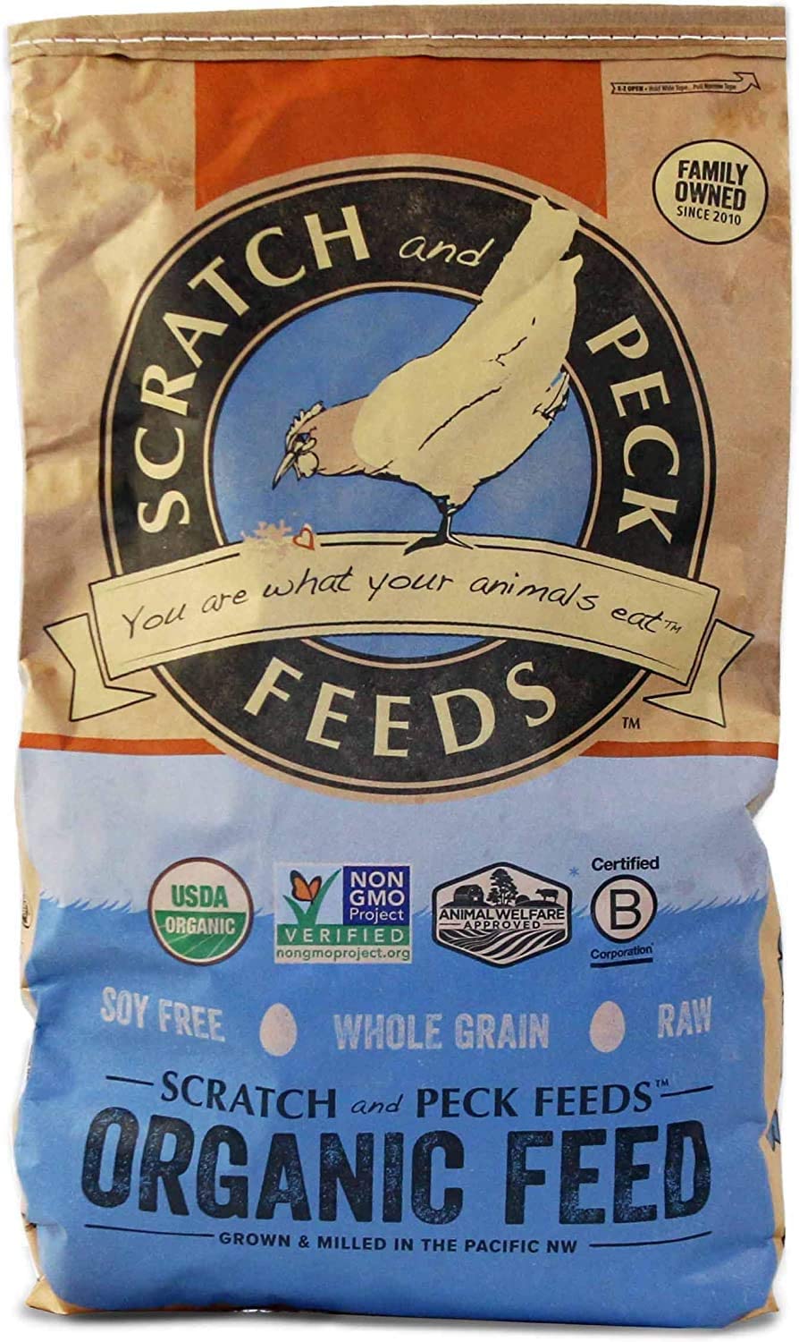 What Do Baby Chicks Eat? - The Happy Chicken Coop