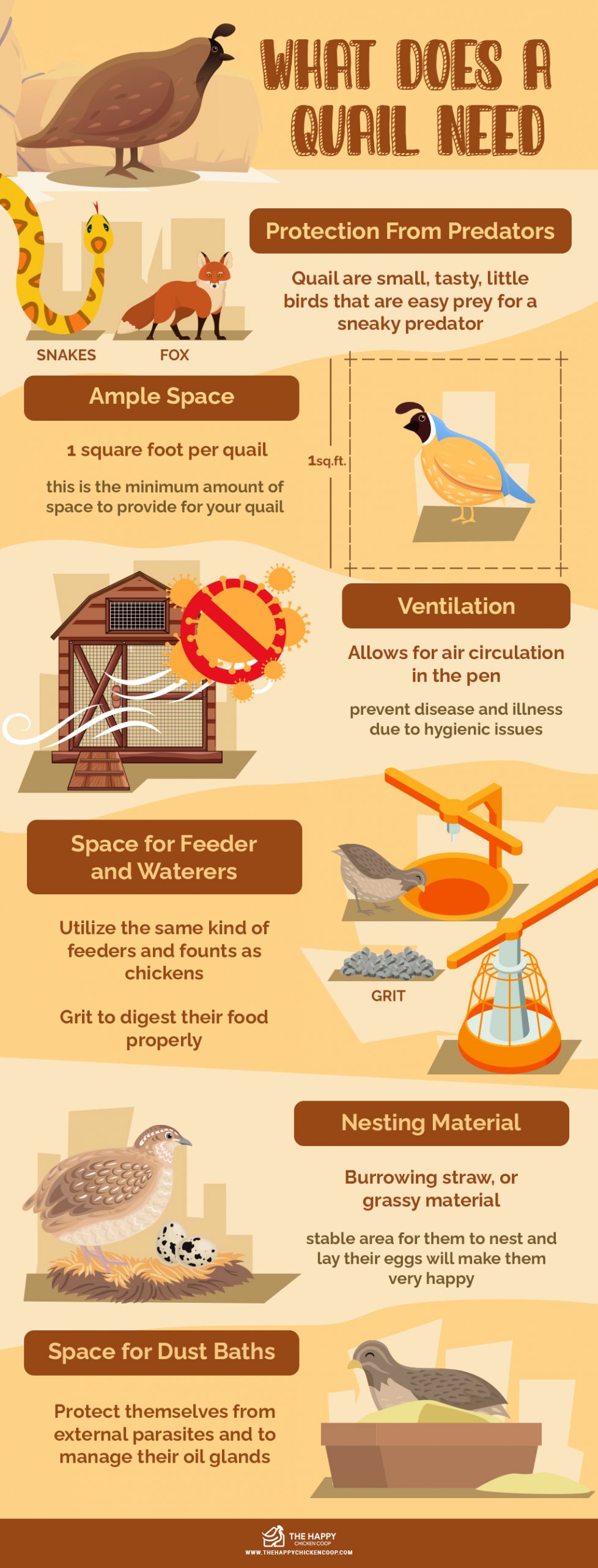 Best Of The Best Info About How To Build A Quail Cage Feeloperation