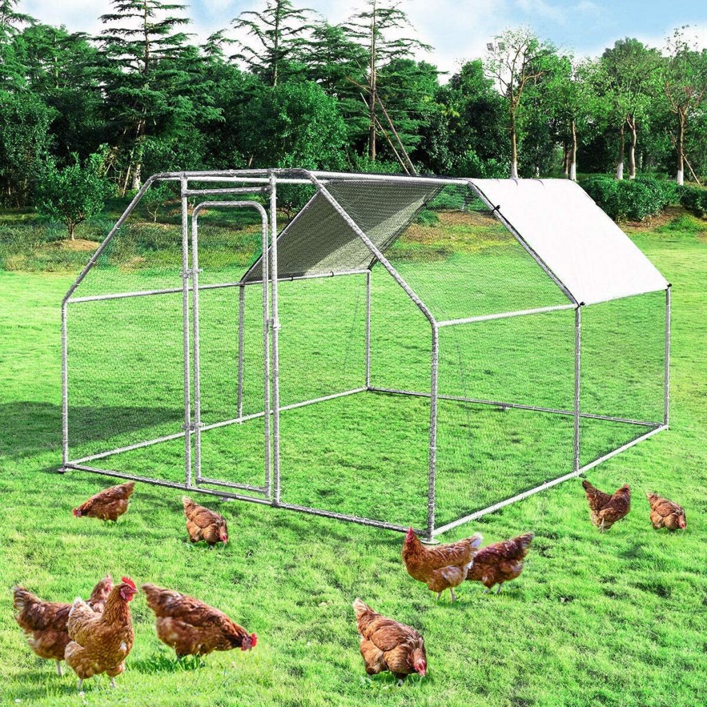 6 Beautiful Walk-in Chicken Coops - The Happy Chicken Coop