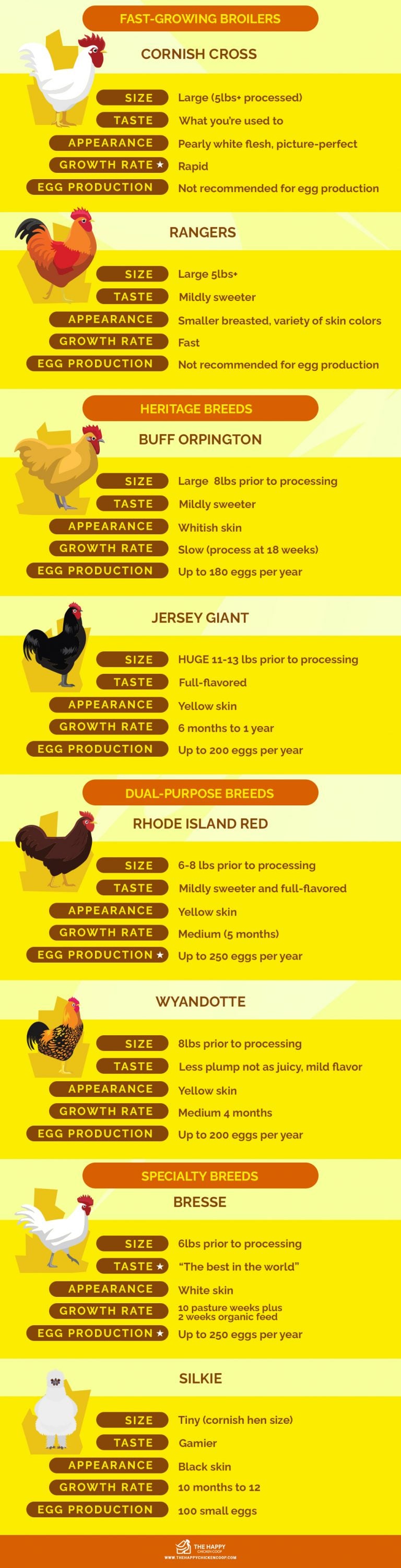 Best Meat Chicken Breeds - The Happy Chicken Coop