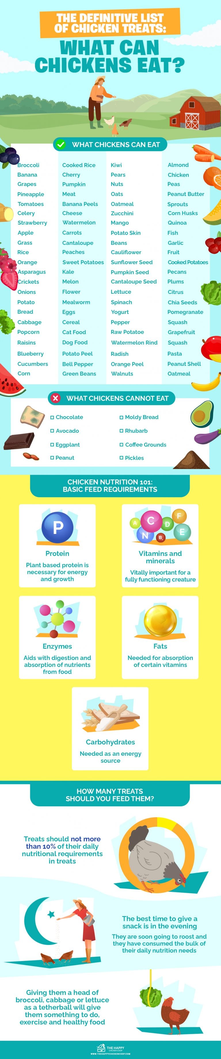 Complete List of Chicken Treats: What Can Chickens Eat?