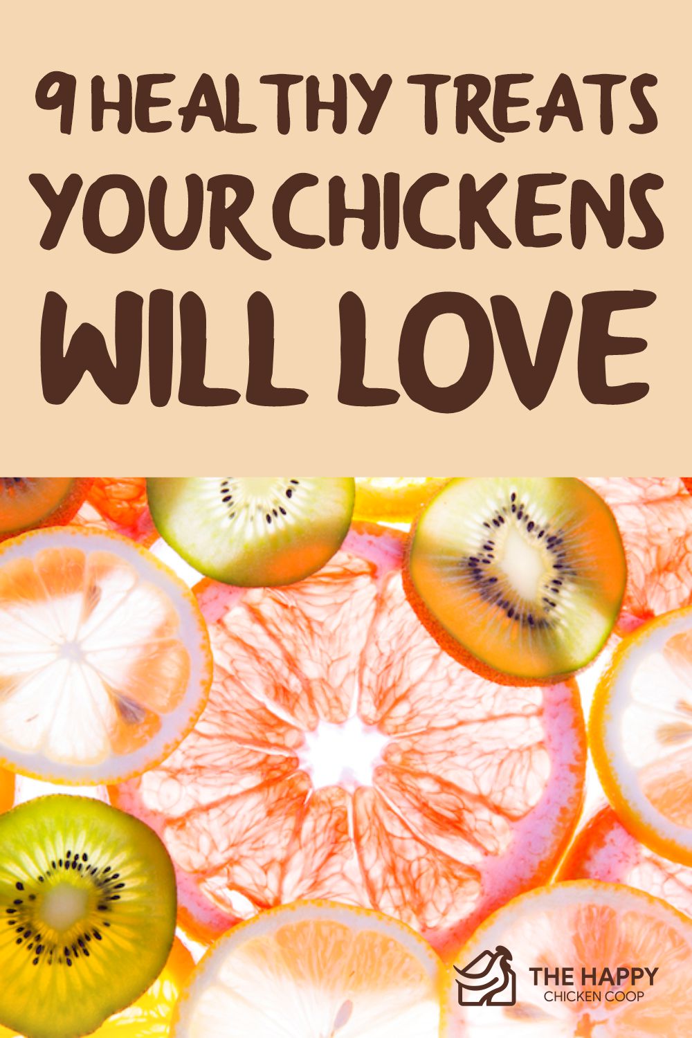 9 Healthy Treats Your Chickens Will Love - The Happy Chicken Coop