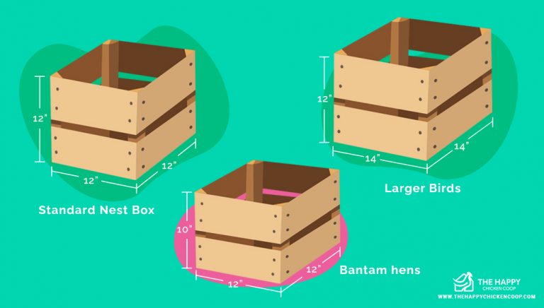 Chicken Nesting Boxes 101 and 13 Best DIY Plans