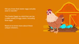 Easter Egger: Everything You Need To Know About This Chicken