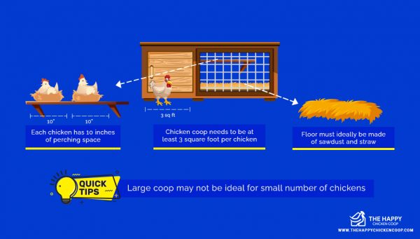 How Much Room Do Chickens Need The Happy Chicken Coop