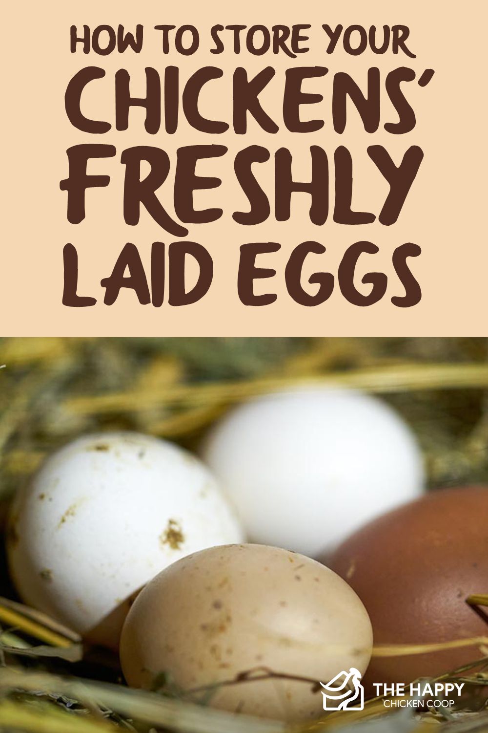 How To Store Your Chickens’ Freshly Laid Eggs - The Happy Chicken Coop