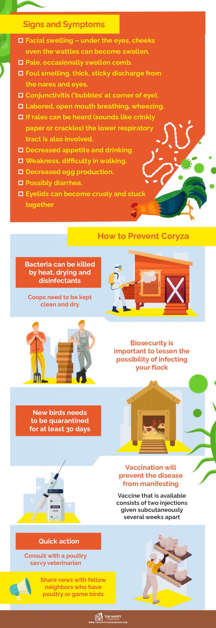 All You Need To Know About Coryza in Chickens