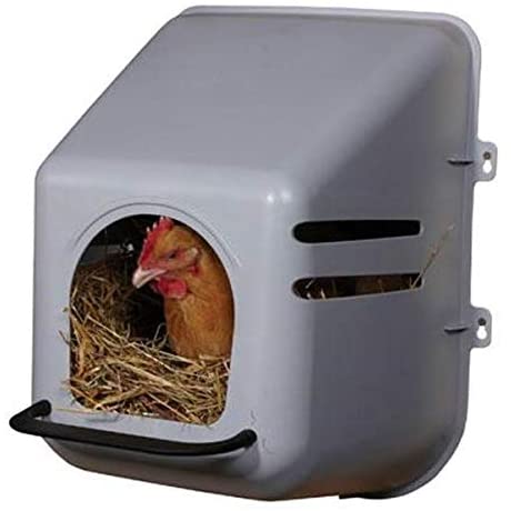 Ultimate Chicken Supplies List: Your Chick and Chicken Raising Kit ...