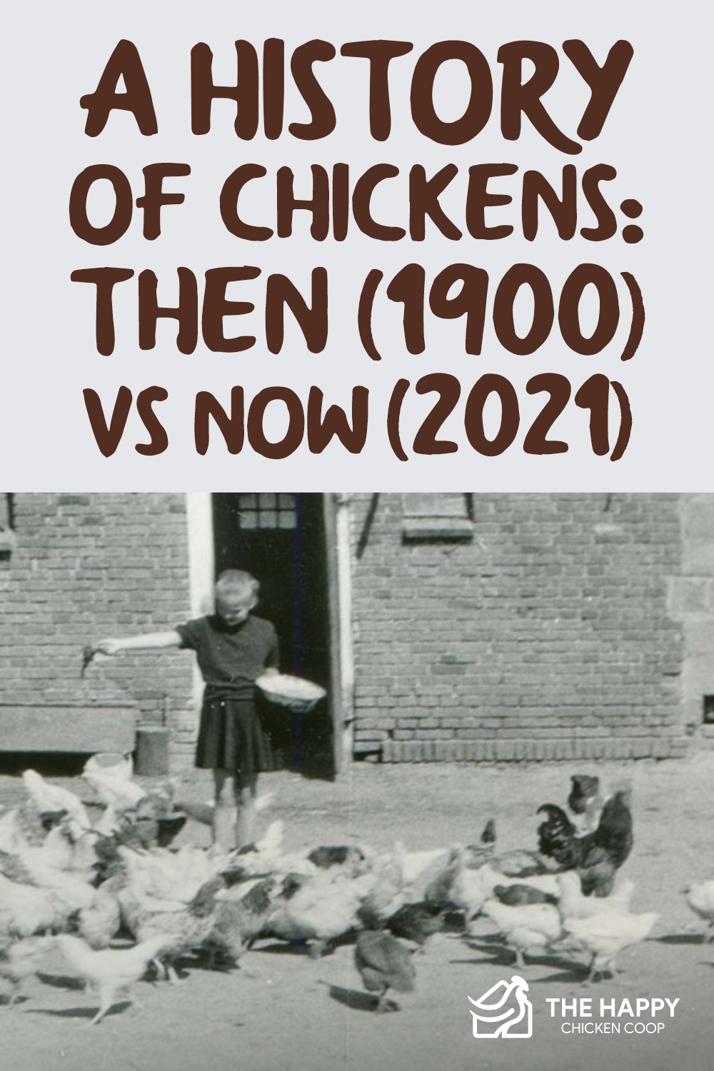 A History of Chickens: Then (1900) Vs Now (2022)