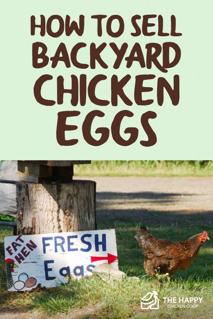 Easy Ways To Store Fresh Chicken Eggs 2024 AtOnce