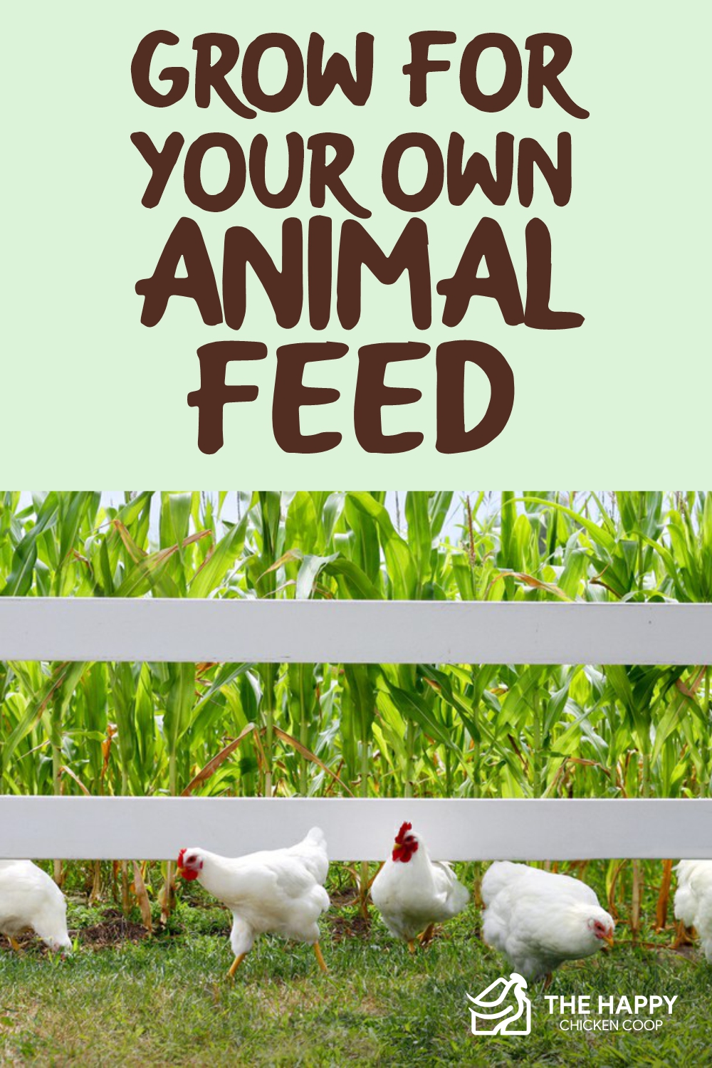 What to Grow for Animal Feed (And How to Make Your Feed Grow)