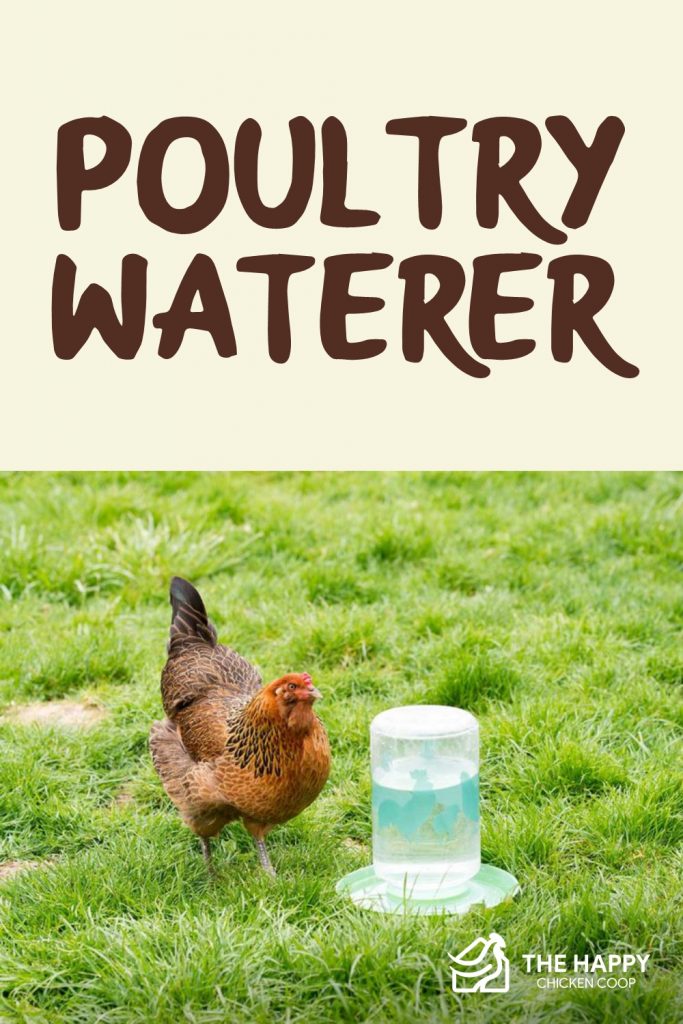Poultry Waterer: Which Is Best For Your Flock? - The Happy Chicken Coop