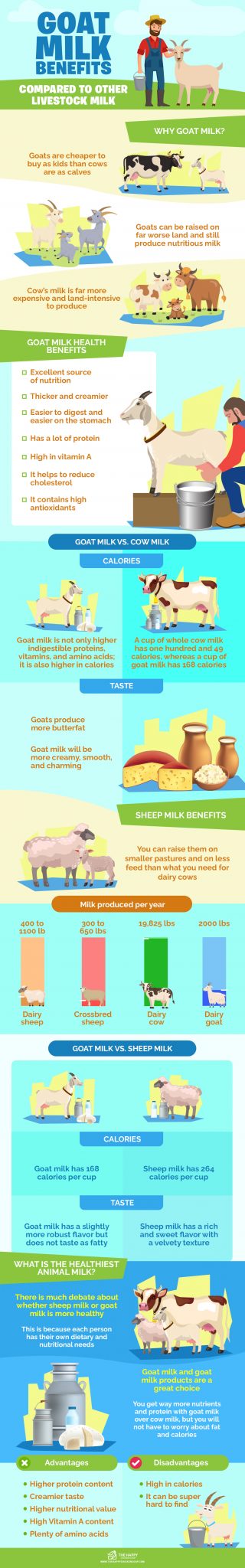 Goat Milk Benefits, Compared To Other Livestock Milk
