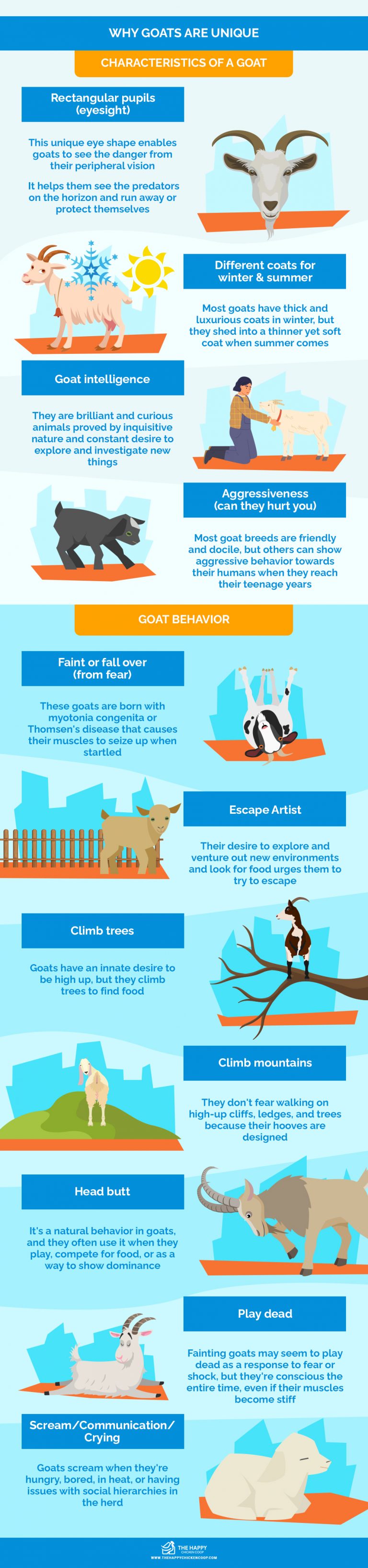 Owning Goats: The Definitive Guide