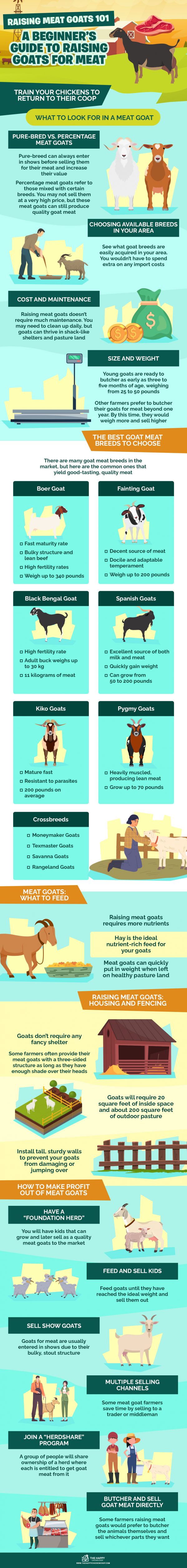 Raising Meat Goats 101: A Beginner's Guide to Raising Goats for Meat
