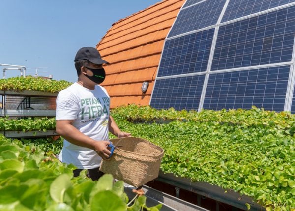 5 Eco-Friendly Farming Methods That Meet Sustainability 5 Eco-Friendly Farming Methods That Meet Sustainability