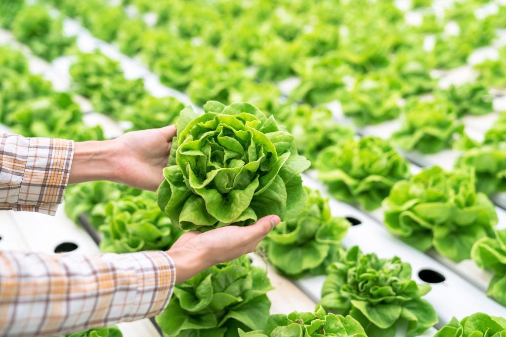 5 Eco-Friendly Farming Methods That Meet Sustainability