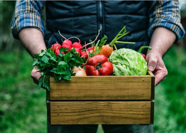 8 Helpful Benefits of Sustainable Agriculture