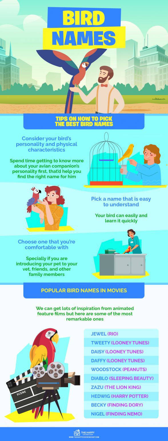 Bird Names - 300 Name Ideas for Every Bird Owner