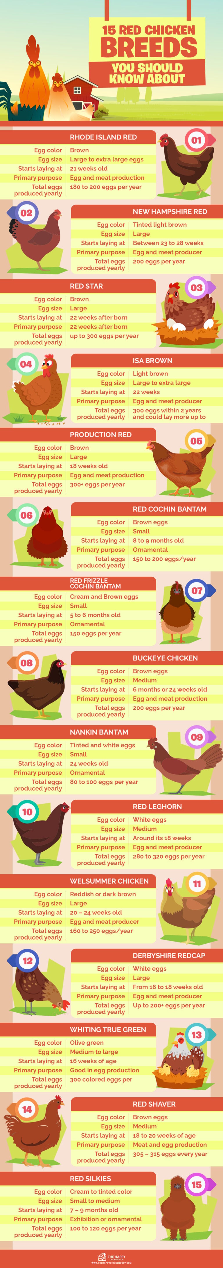 15 Red Chicken Breeds You Should Know About