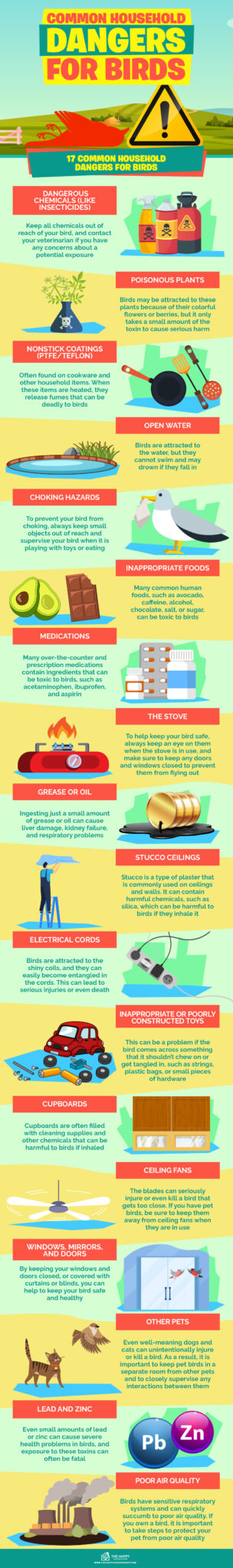 Common Household Dangers for Birds - The Happy Chicken Coop