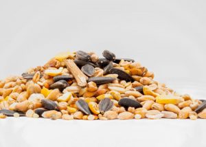Healthy Snacks For Your Pet Bird - The Happy Chicken Coop