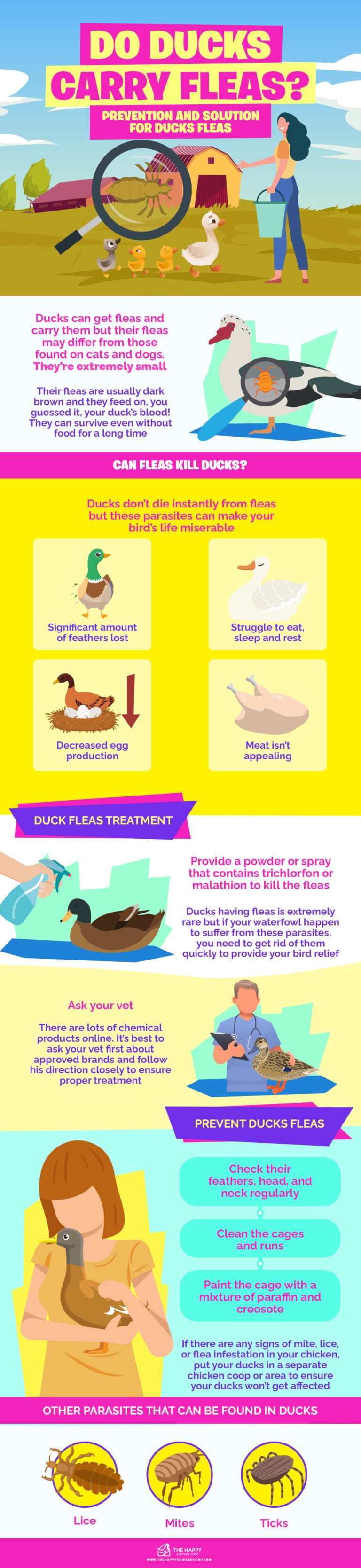 Do Ducks Carry Fleas?—Prevention and Solution for Ducks Fleas
