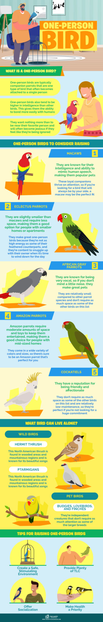 One-Person Bird - The Happy Chicken Coop
