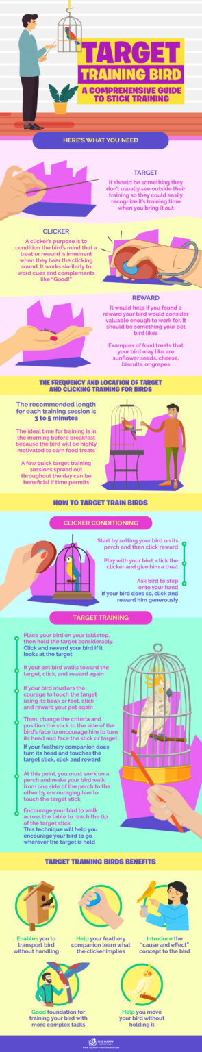 Target Training Bird — A Comprehensive Guide to Stick Training