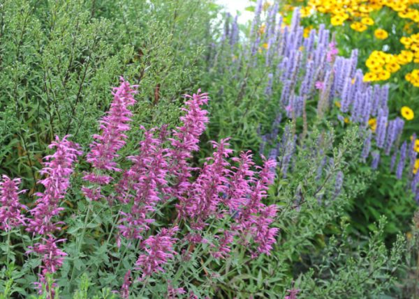 15 Creative Bee Garden Ideas You Can Find Inspiration From