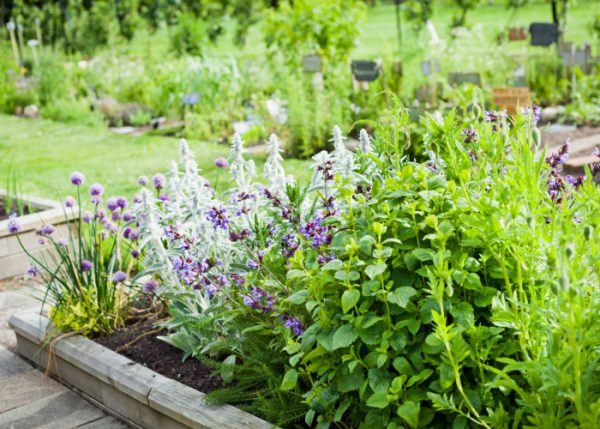 15 Creative Bee Garden Ideas You Can Find Inspiration From