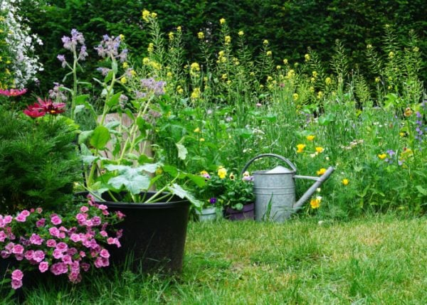 15 Creative Bee Garden Ideas You Can Find Inspiration From