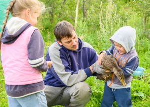 Can You Get Sick From Touching a Duck?