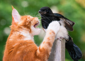 Birds and Other Pets - Is It Safe For Avians to Be With Other Pets?