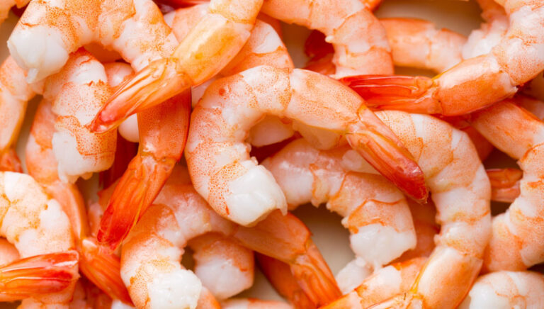 Can Chickens Eat Shrimp? - The Happy Chicken Coop