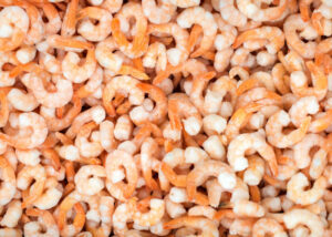 Can Chickens Eat Shrimp? - The Happy Chicken Coop