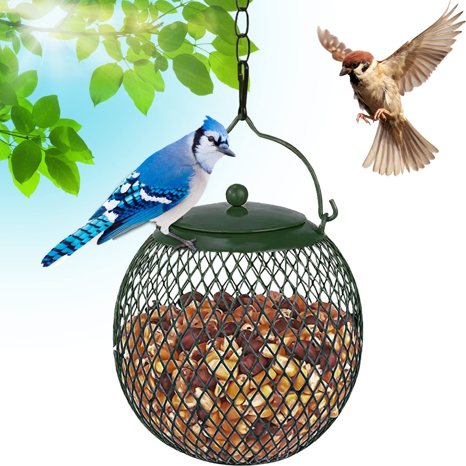 10 Boredom Busters for Quails To Keep Them Entertained