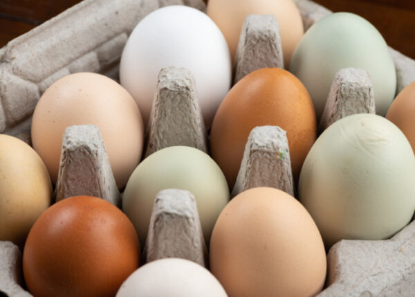 Chicken Egg & Earlobe: Can You Determine Eggshell Color Based On ...