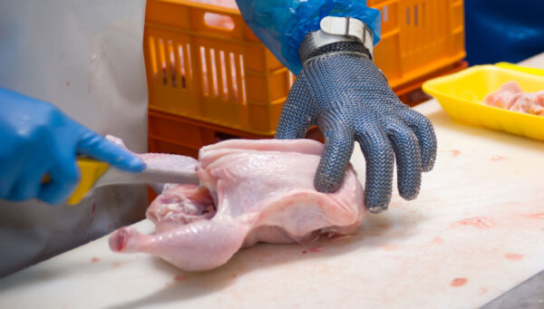 How to Gut a Chicken: A Step-by-Step Guide