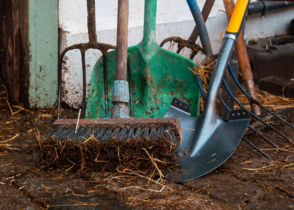 How to Collect Chicken Poop (2 Easy Ways) - The Happy Chicken Coop