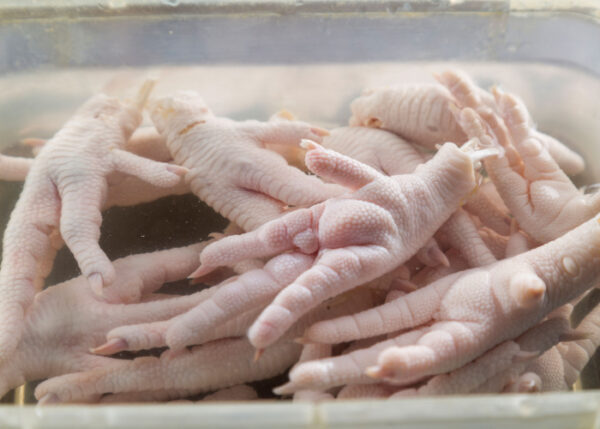 How to Clean Chicken Feet (Step-by-Step Guide) - The Happy Chicken Coop