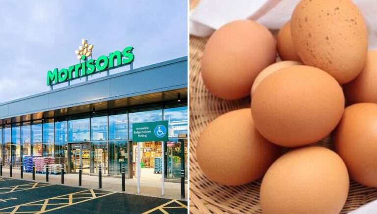 Morrisons Becomes First Supermarket with ‘Planet-Friendly’ Eggs - The ...