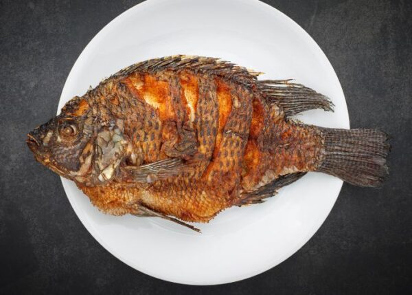 Can Chickens Eat Fish? You'd Be Surprised! - The Happy Chicken Coop