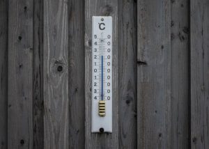 Finding the Best Temperature for Chickens - The Happy Chicken Coop